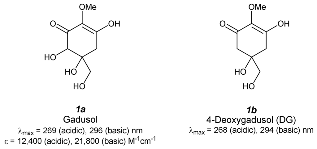 Mycosporine-Like Amino Acids and Their Derivatives as Natural Antioxidants