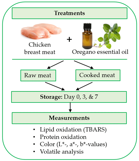 Antioxidants | Free Full-Text | Effect of Oregano Essential Oil ...