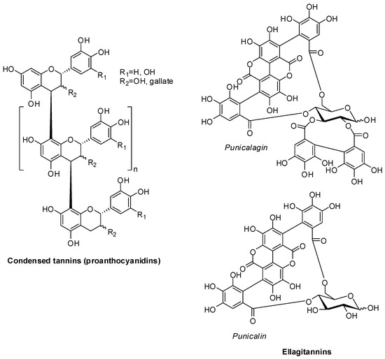 Natural Phenol Polymers: Recent Advances in Food and Health Applications
