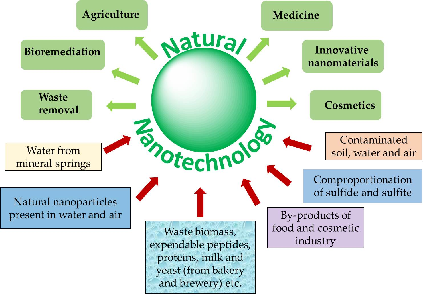 Antioxidants | Free Full-Text | Natural Nanoparticles: A Particular ...