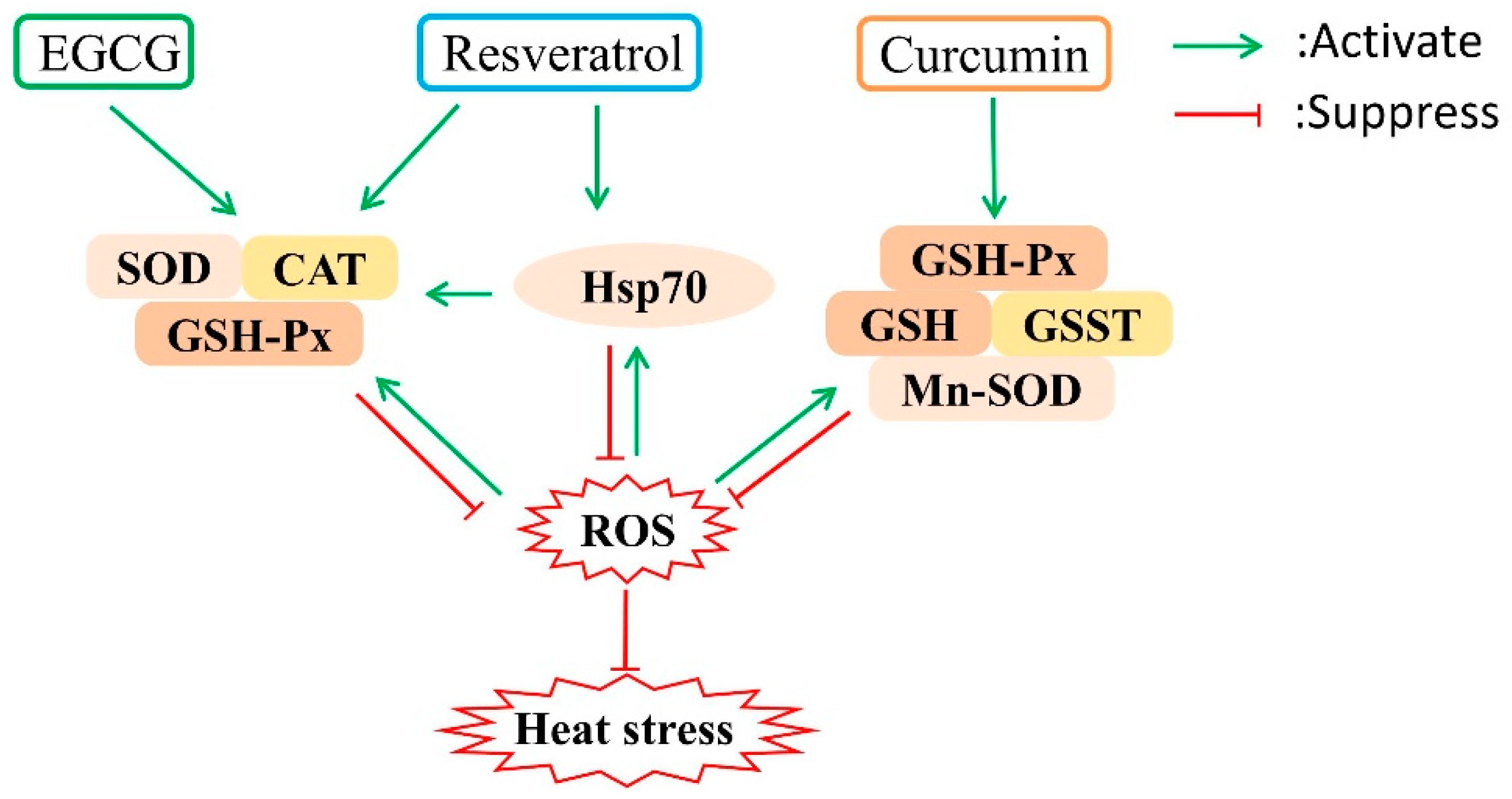 Antioxidants Free Full Text Polyphenols As Potential Attenuators Of
