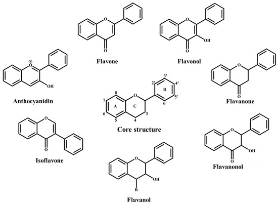 Flavonoids: New Frontier for Immuno-Regulation and Breast Cancer Control