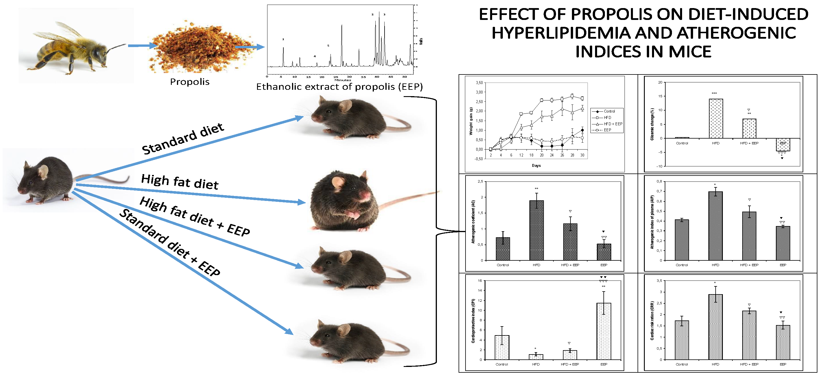 Antioxidants | Free Full-Text | Effect of Propolis on Diet-Induced ...
