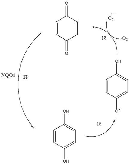 Cancer Cell Sensitivity to Redox-Cycling Quinones is Influenced by NAD ...