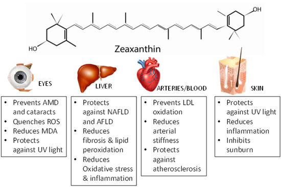 Zeaxanthin: Metabolism, Properties, and Antioxidant Protection of Eyes ...
