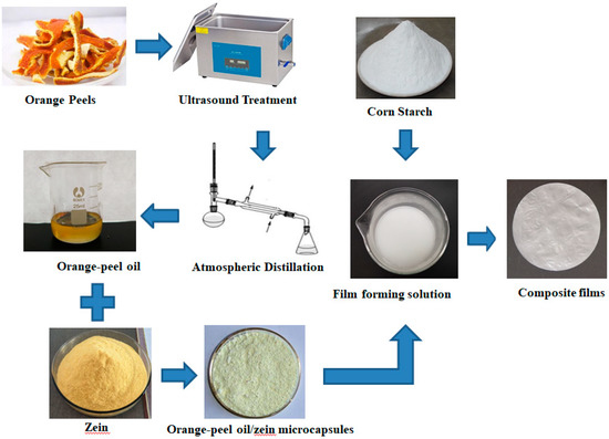Preparation and Characterization of Corn Starch Bio-Active Edible Packaging Films Based on Zein ...