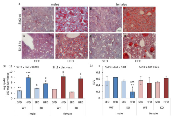 Antioxidants Free Full Text Role Of Sirt3 In Differential Sex