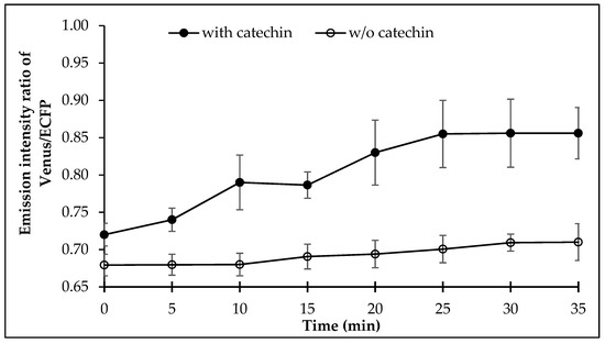 Metabolic Flux Analysis of Catechin Biosynthesis Pathways Using Nanosensor