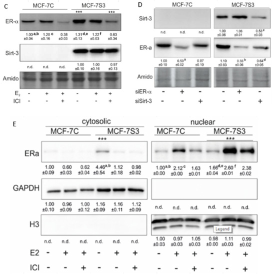 Antioxidants Free Full Text Sirt3 Exerts Its Tumor Suppressive Role