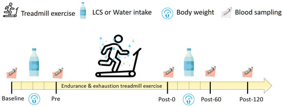 Antioxidants | Free Full-Text | Low-Osmolality Carbohydrate–Electrolyte ...
