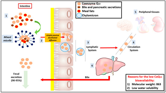 Coenzyme Q10: Clinical Applications in Cardiovascular Diseases