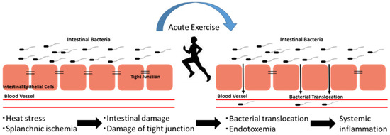 Characterization and Modulation of Systemic Inflammatory Response to ...