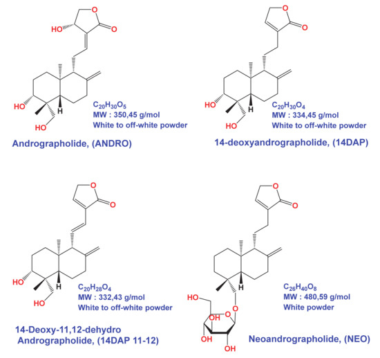 Andrographis paniculata and Its Bioactive Diterpenoids Protect Dermal ...