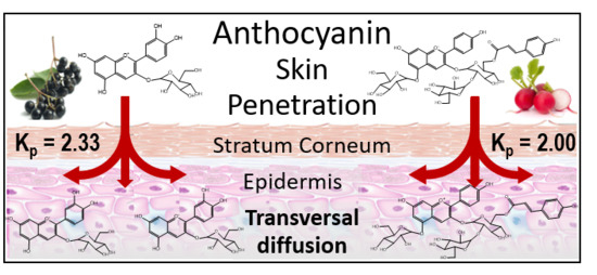 Antioxidants | Special Issue : Antioxidant capacity of Anthocyanins and ...