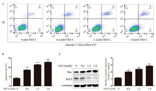 Non-esterified Fatty Acid-Induced Reactive Oxygen Species Mediated ...