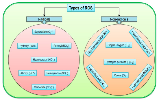Reactive Oxygen Species and Antioxidant Defense in Plants under Abiotic ...