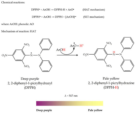 Antioxidants | Free Full-Text | The Versatility of Antioxidant Assays ...