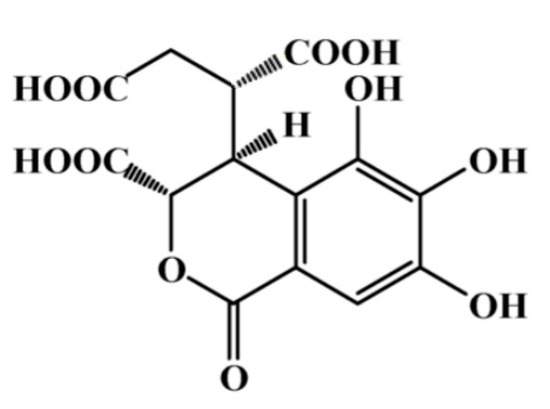 Antioxidants | Free Full-Text | Chebulic Acid Prevents Methylglyoxal ...
