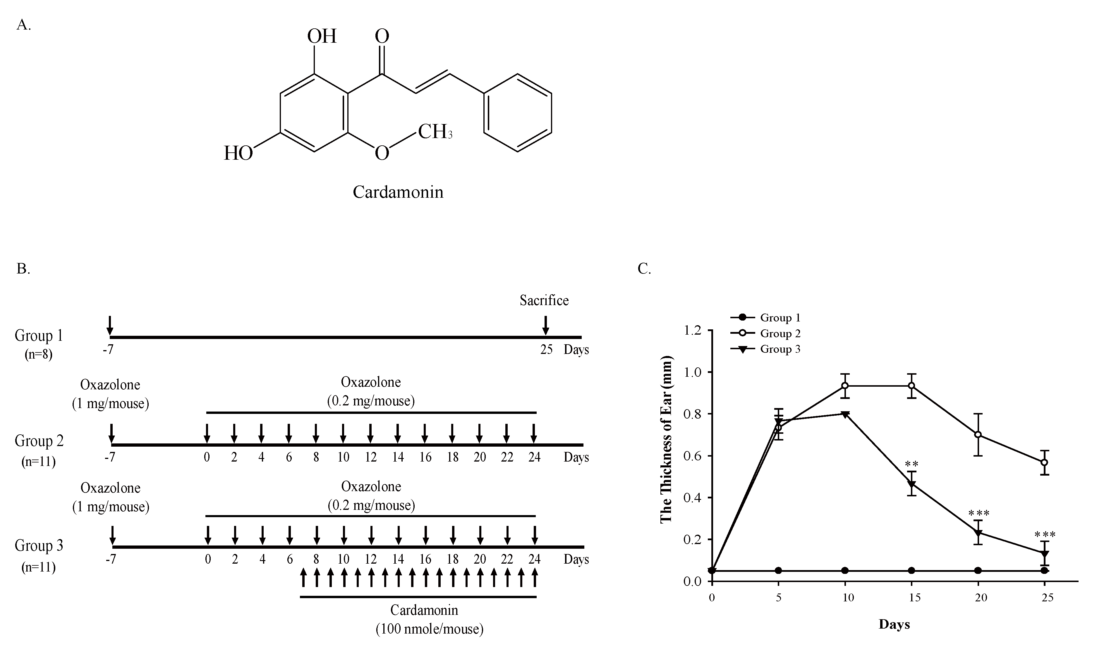 Cardamonin Inhibits Oxazolone-Induced Atopic Dermatitis by the ...