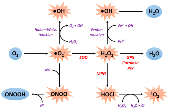 Frontiers Signaling Pathways Of Oxidative Stress Response:, 50% OFF Frontiers Signaling Pathways Of Oxidative Stress Response:, 50% OFF