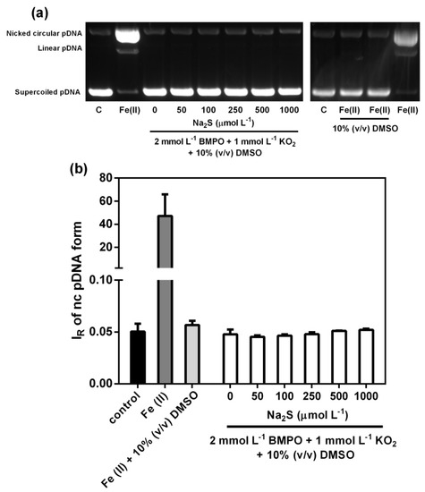 •BMPO-OOH Spin-Adduct as a Model for Study of Decomposition of Organic ...