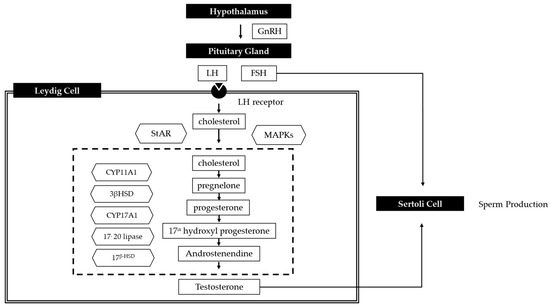 Antioxidants Free Full Text Role Of Antioxidant Natural Products In