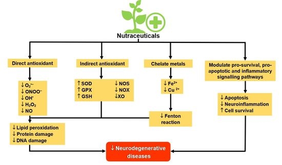 Antioxidants | Free Full-Text | A Mechanistic Evaluation of Antioxidant ...