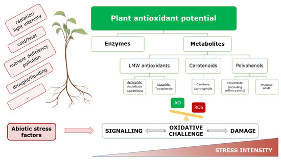 Antioxidants in Plants: A Valorization Potential Emphasizing the Need ...