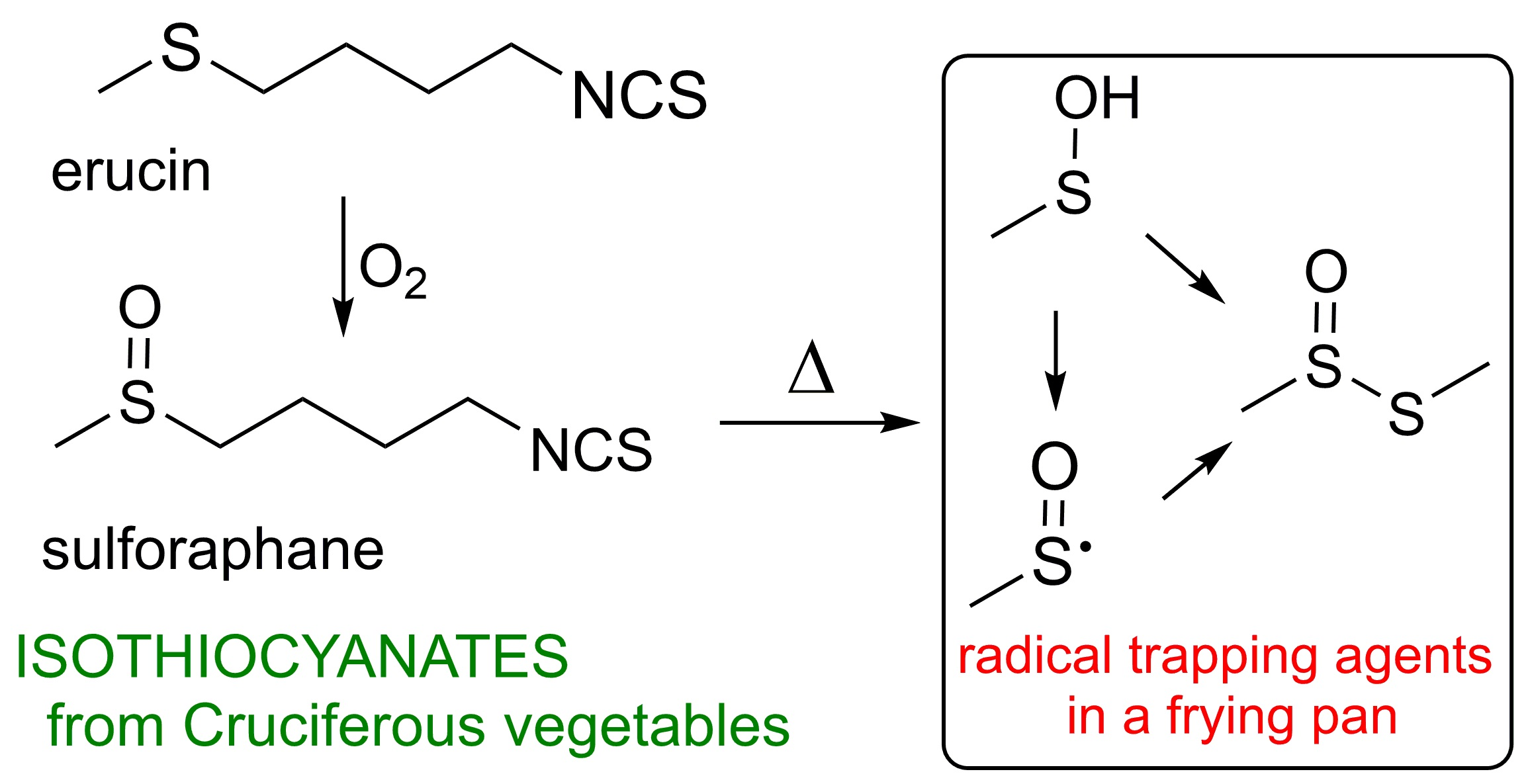 Antioxidants | Free Full-Text | A Lesson Learnt from Food Chemistry ...