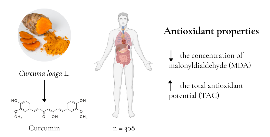 Antioxidants Free Full Text Antioxidant Potential Of Curcumin—a