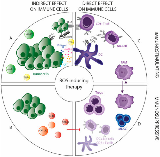 Oxidative Stress-Inducing Anticancer Therapies: Taking a Closer Look at ...