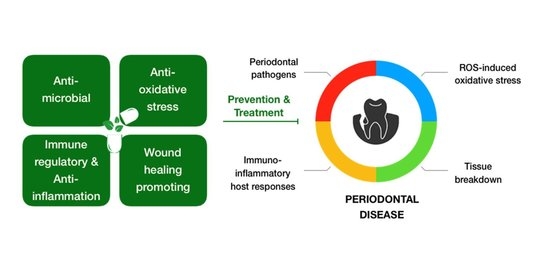 Antioxidants | Free Full-Text | The Promising Role of Antioxidant Phytochemicals in the ...