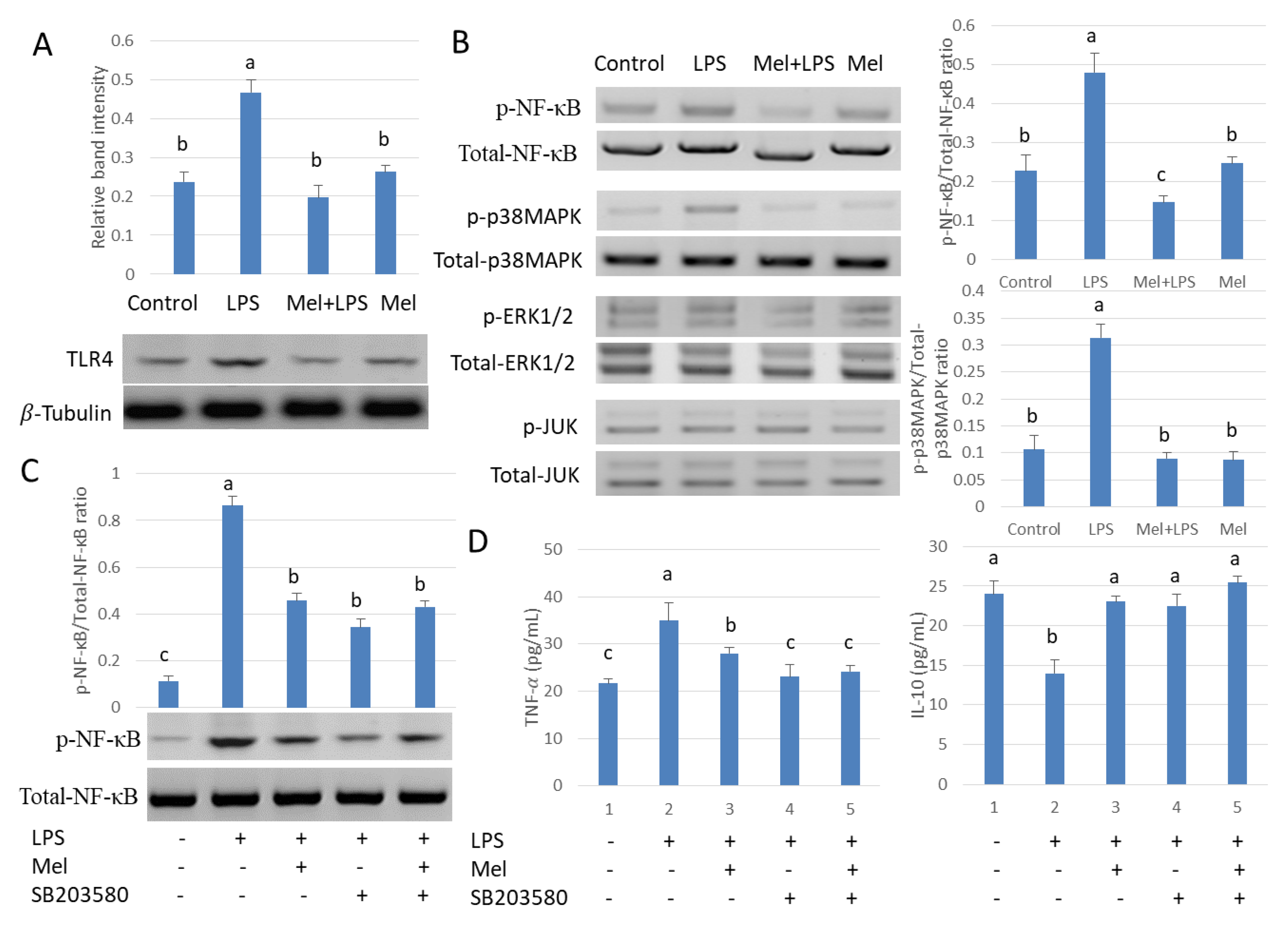 Melatonin Ameliorates Inflammation and Oxidative Stress by Suppressing ...
