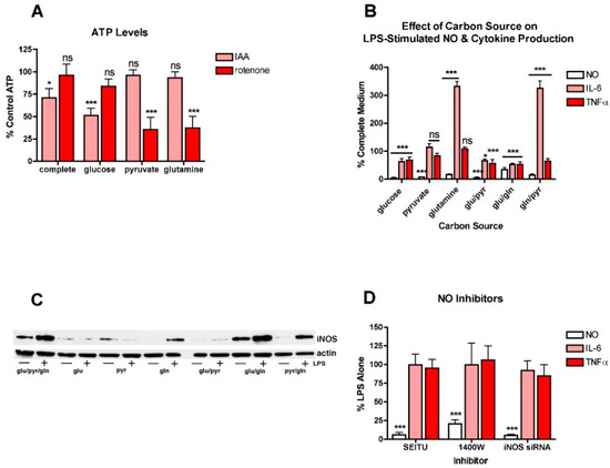 Investigations into the Role of Metabolism in the Inflammatory Response ...