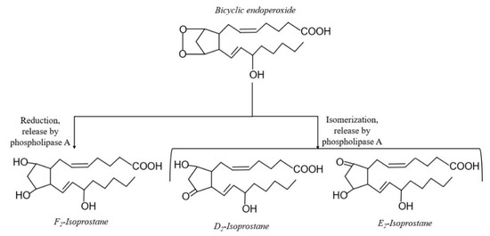 Isoprostanes in Veterinary Medicine: Beyond a Biomarker
