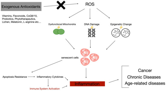 Nutraceuticals against Oxidative Stress in Autoimmune Disorders