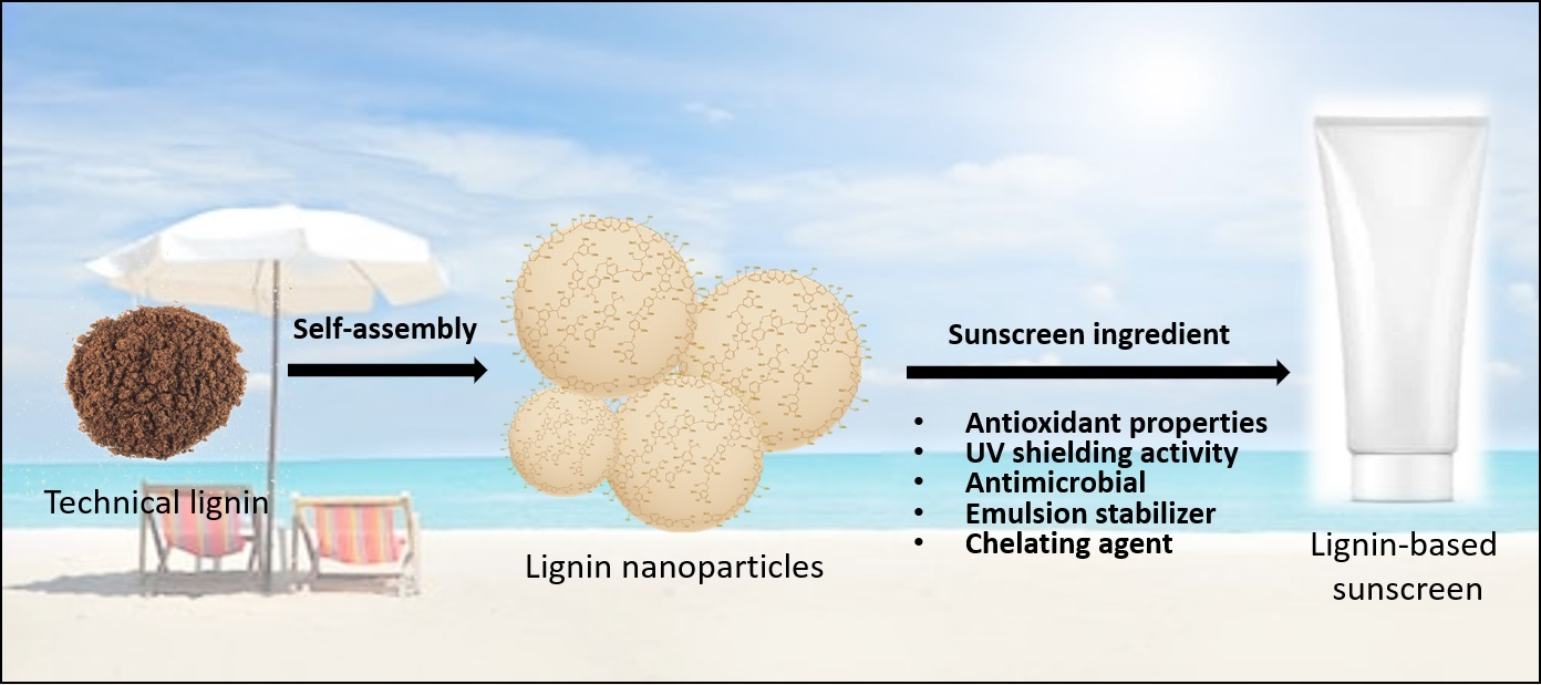 Antioxidants | Free Full-Text | Nano-Structured Lignin as Green ...