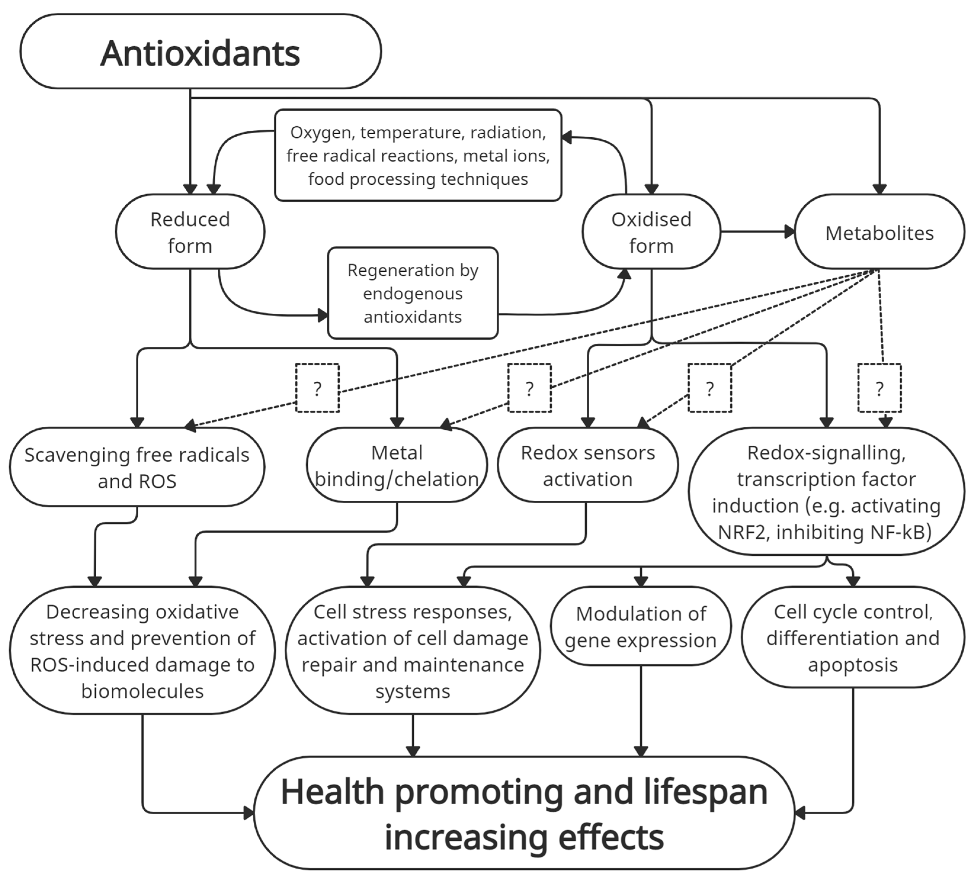 Antioxidants, Food Processing and Health