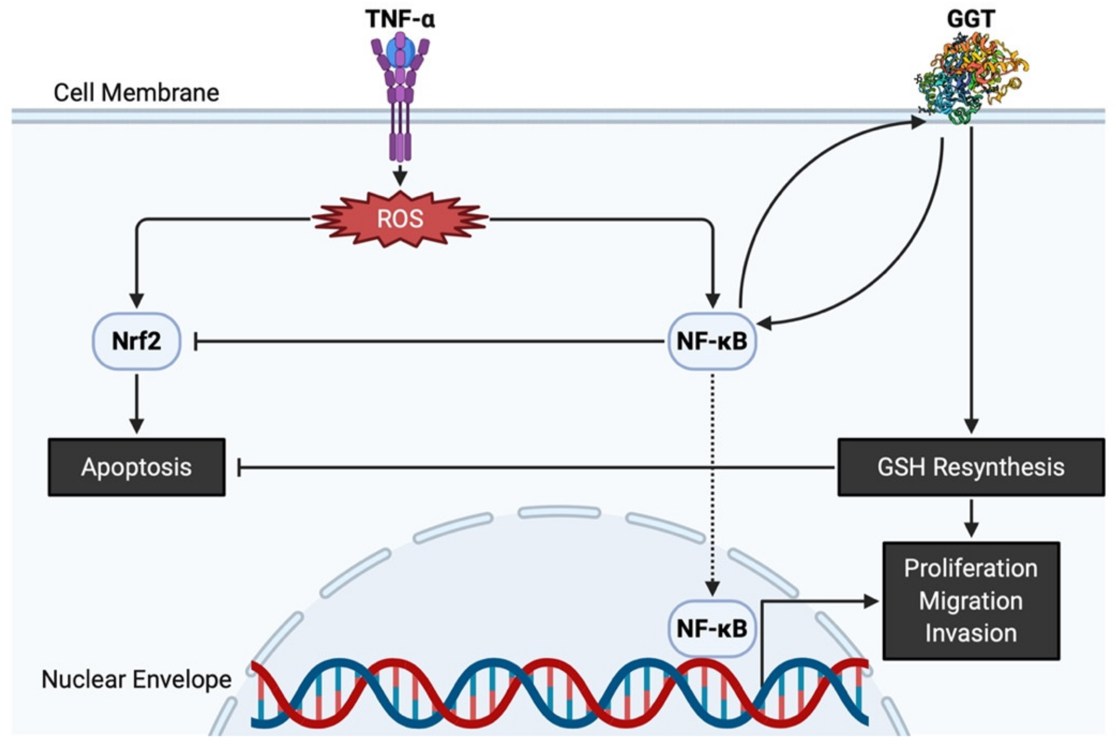 Antioxidants | Free Full-Text | A Systematic Review of Serum γ ...