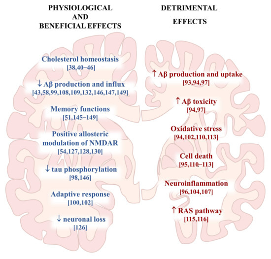 The Controversial Role of 24-S-Hydroxycholesterol in Alzheimer’s Disease