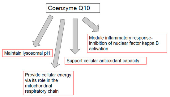 Coenzyme Q10 and Immune Function: An Overview