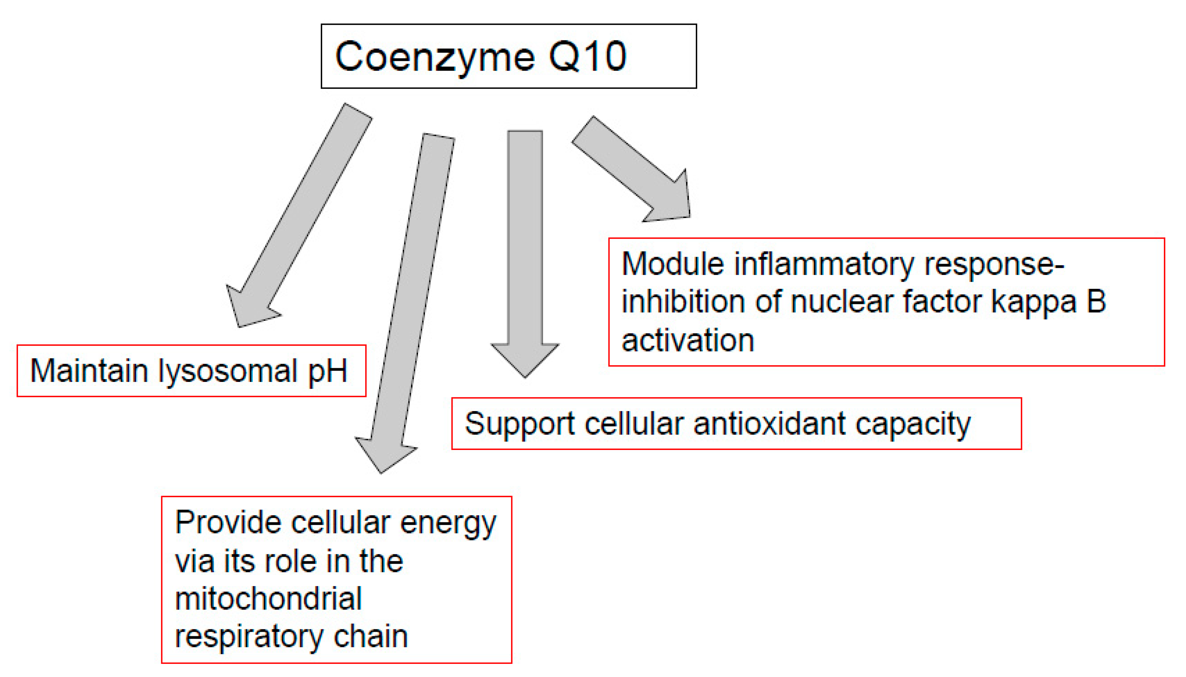 Antioxidants Free Full Text Coenzyme Q10 And Immune Function An