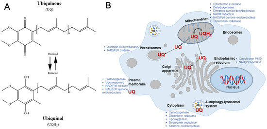 Ubisol-Q10, a Nanomicellar and Water-Dispersible Formulation of ...