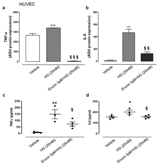 The H2S-Donor Erucin Exhibits Protective Effects against Vascular ...