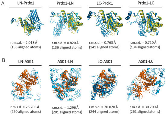 Antioxidants | Free Full-Text | Prdx1 Interacts with ASK1 upon Exposure ...