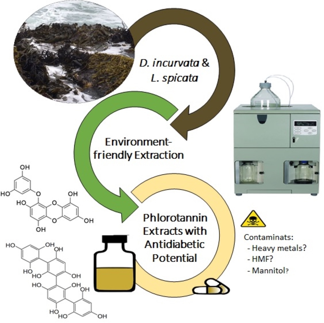 Antioxidants | Free Full-Text | Pressurized Hot Liquid Extraction with ...