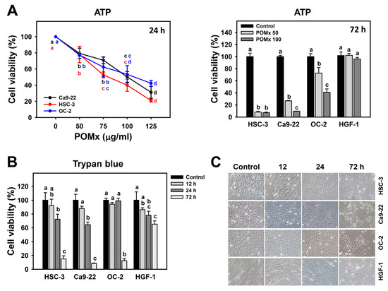 Pomegranate Extract (POMx) Induces Mitochondrial Dysfunction and ...