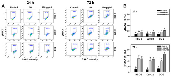 Pomegranate Extract (POMx) Induces Mitochondrial Dysfunction and ...