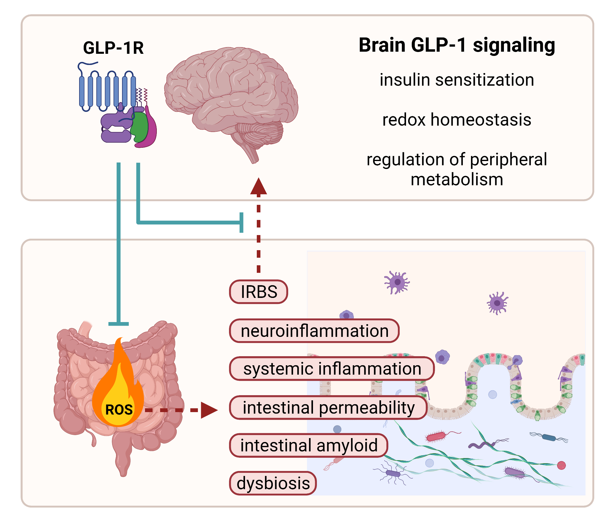 Antioxidants | Free Full-Text | Failure of the Brain Glucagon-Like Peptide-1-Mediated Control of ...