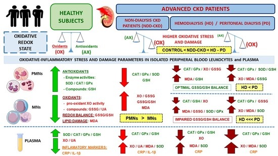 Antioxidants | Special Issue : Oxidative Stress and Inflammation as ...